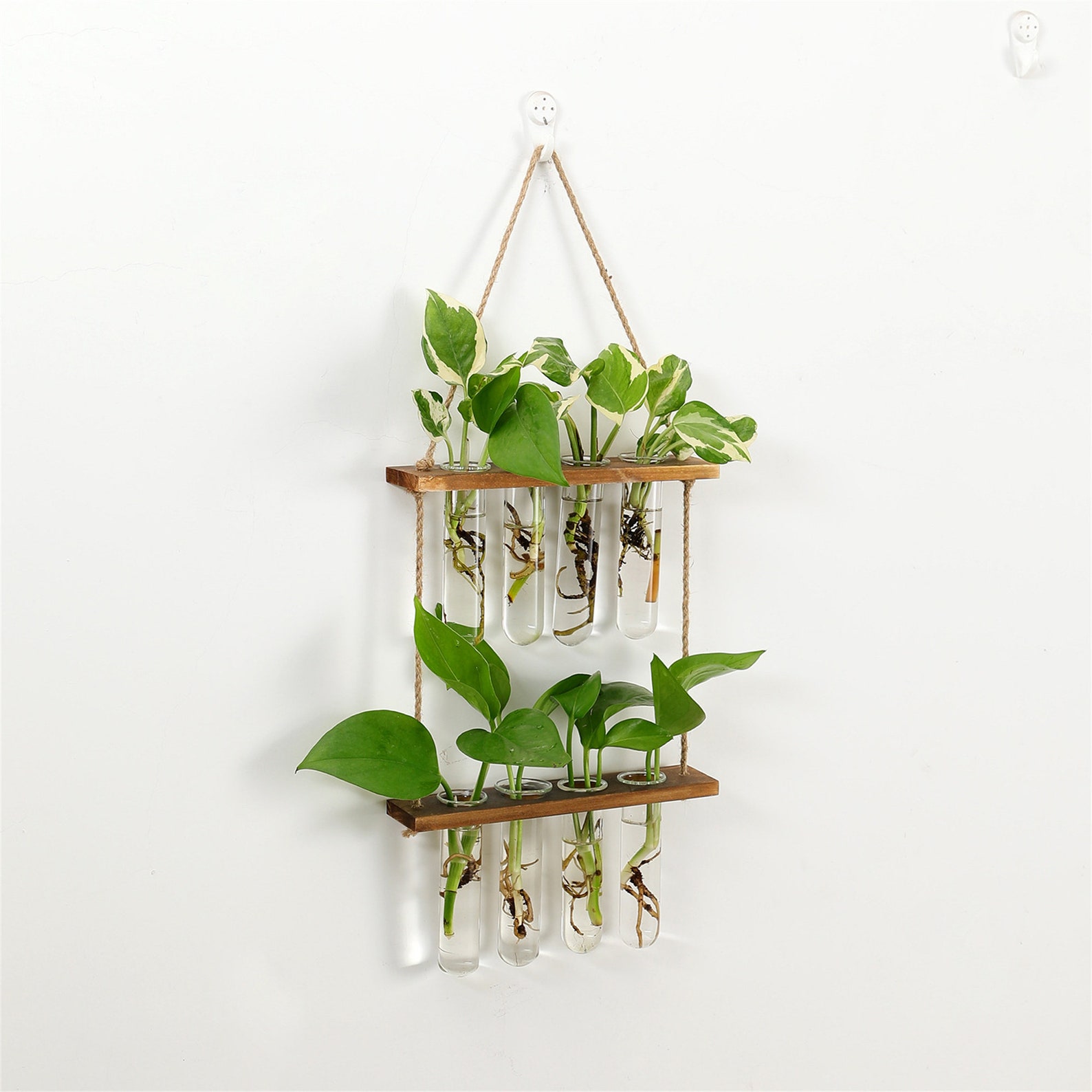 Tiered Propagation Station Wall Hanging Plant Terrarium With - Etsy