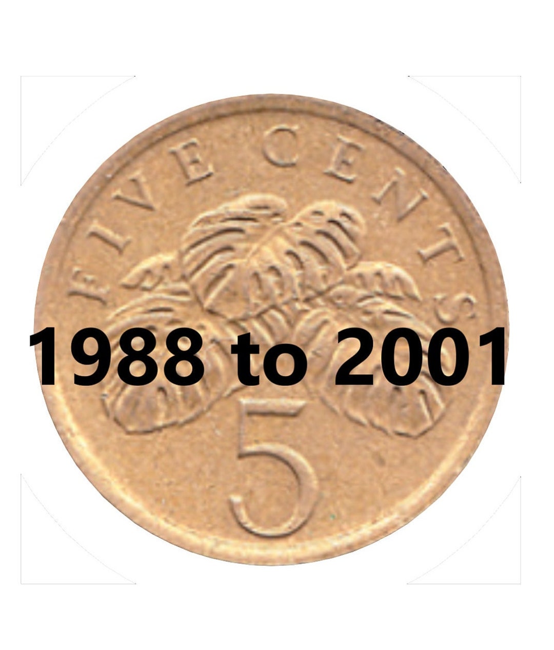 1988 to 2001 Singapore 5 Cent Select Yearss - Etsy