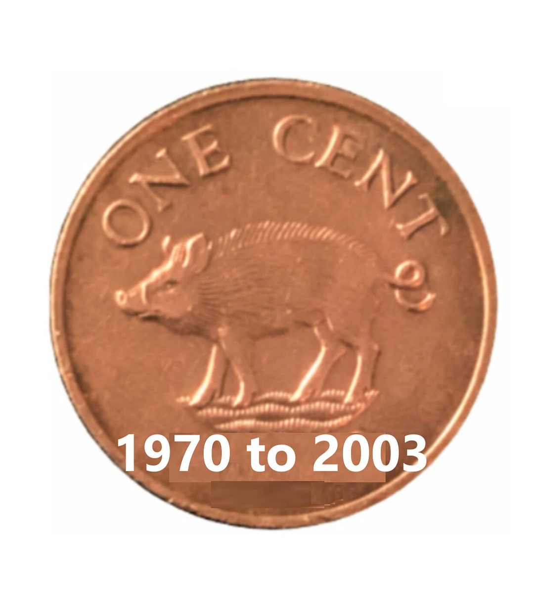 One Cent Bermuda Wild Boar Select Year and Qantity - Etsy