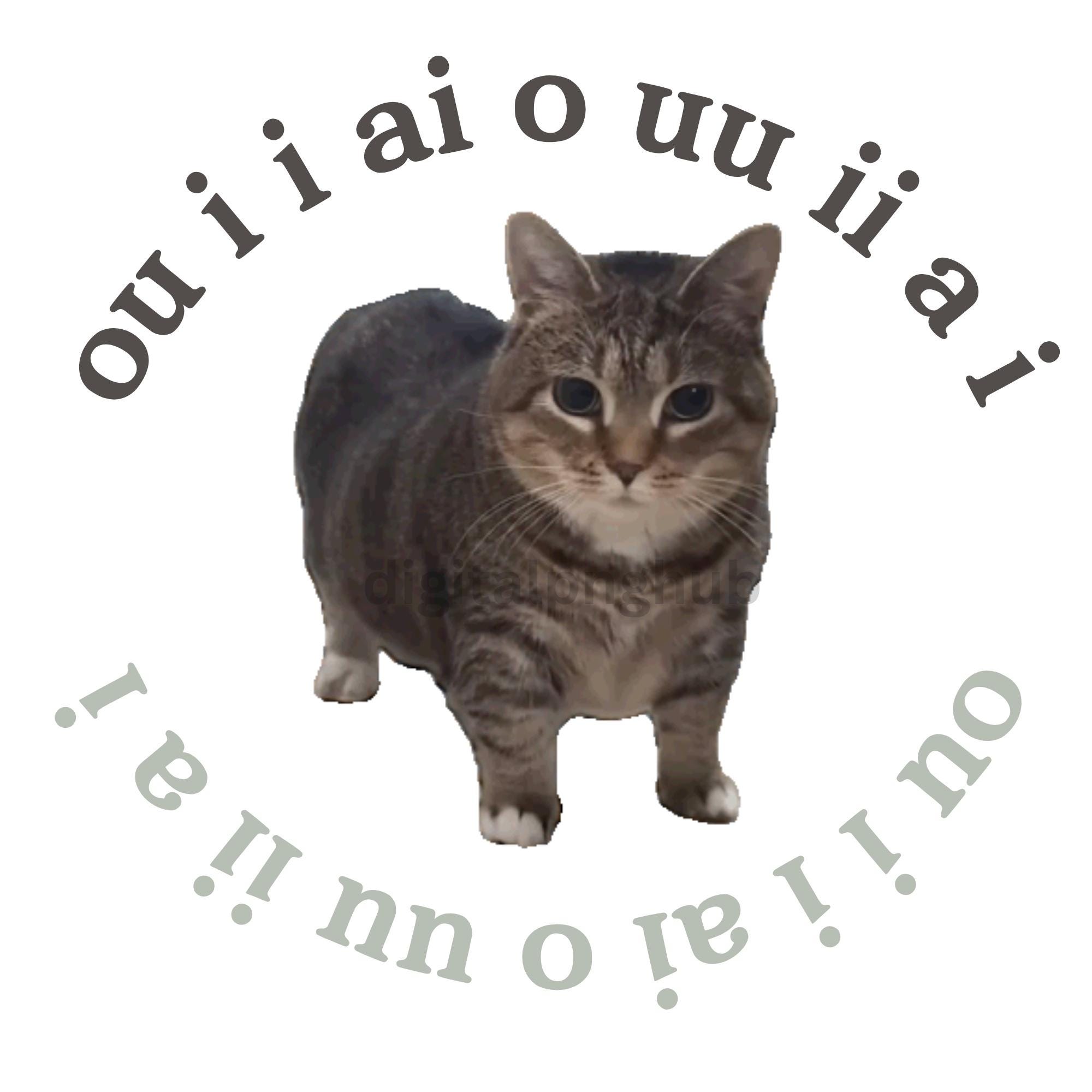 Ou I I Ai O Uu Ii a I Meme PNG | Viral Cat Tiktok Trend | Funny Cat ...