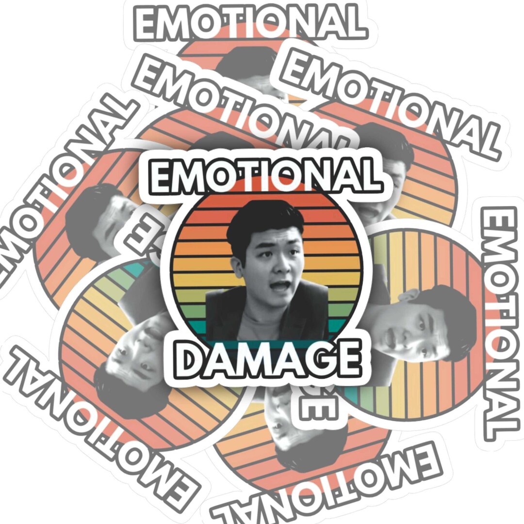 EMOTIONAL DAMAGE Vinyl Sticker Meme Water Bottle, Car, Laptop, Notebook ...