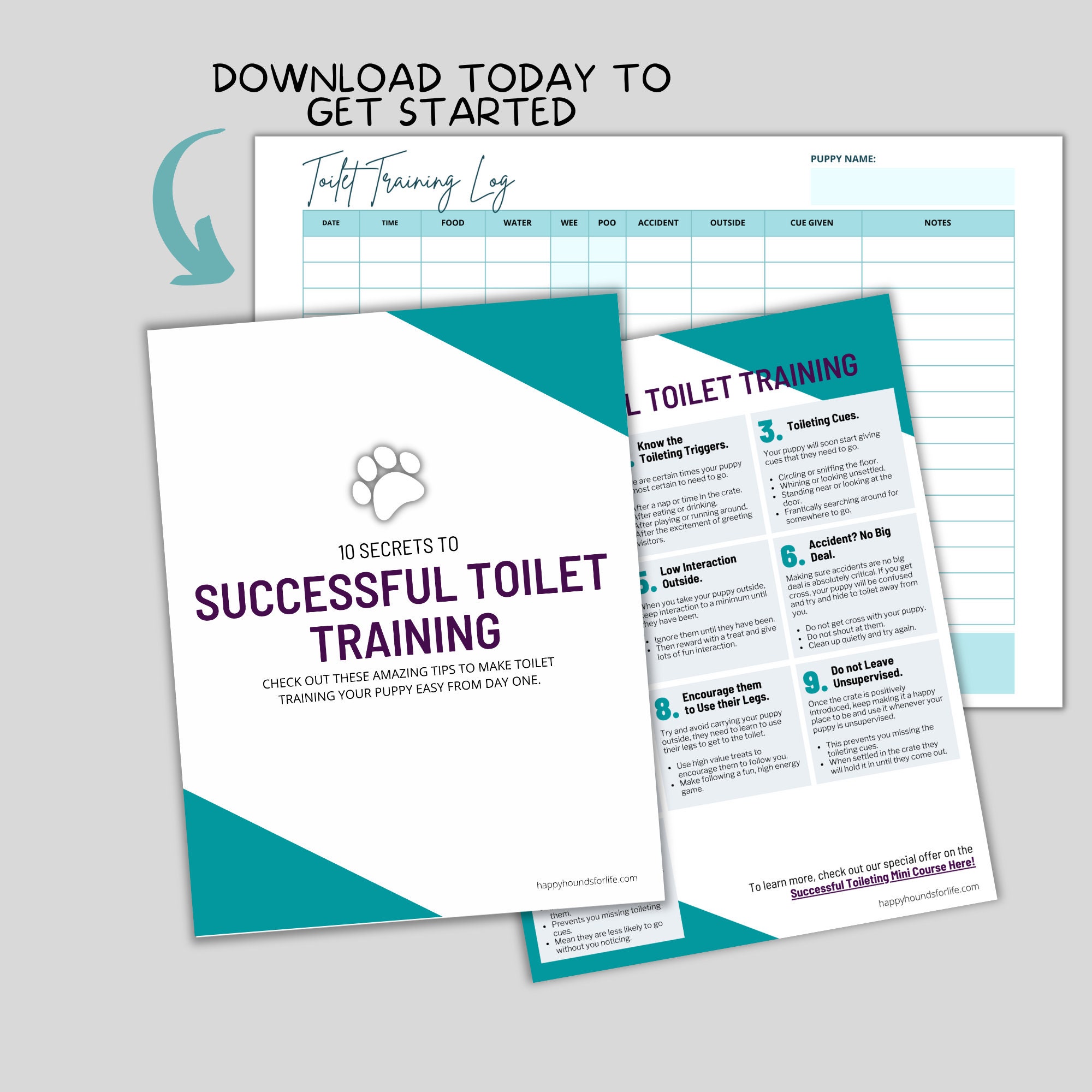 Puppy Toilet Training Made Easy, Puppy Potty Training, 10 Steps to ...