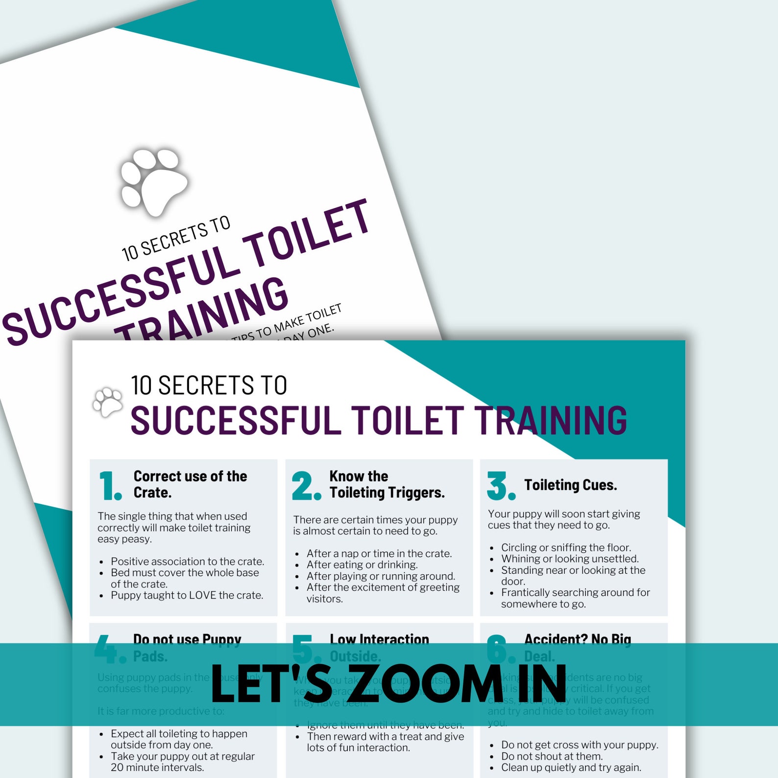 10 Secrets to Successful Toilet Training, Successfully Toilet Train ...
