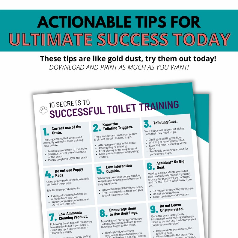 10 Secrets to Successful Toilet Training, Successfully Toilet Train ...