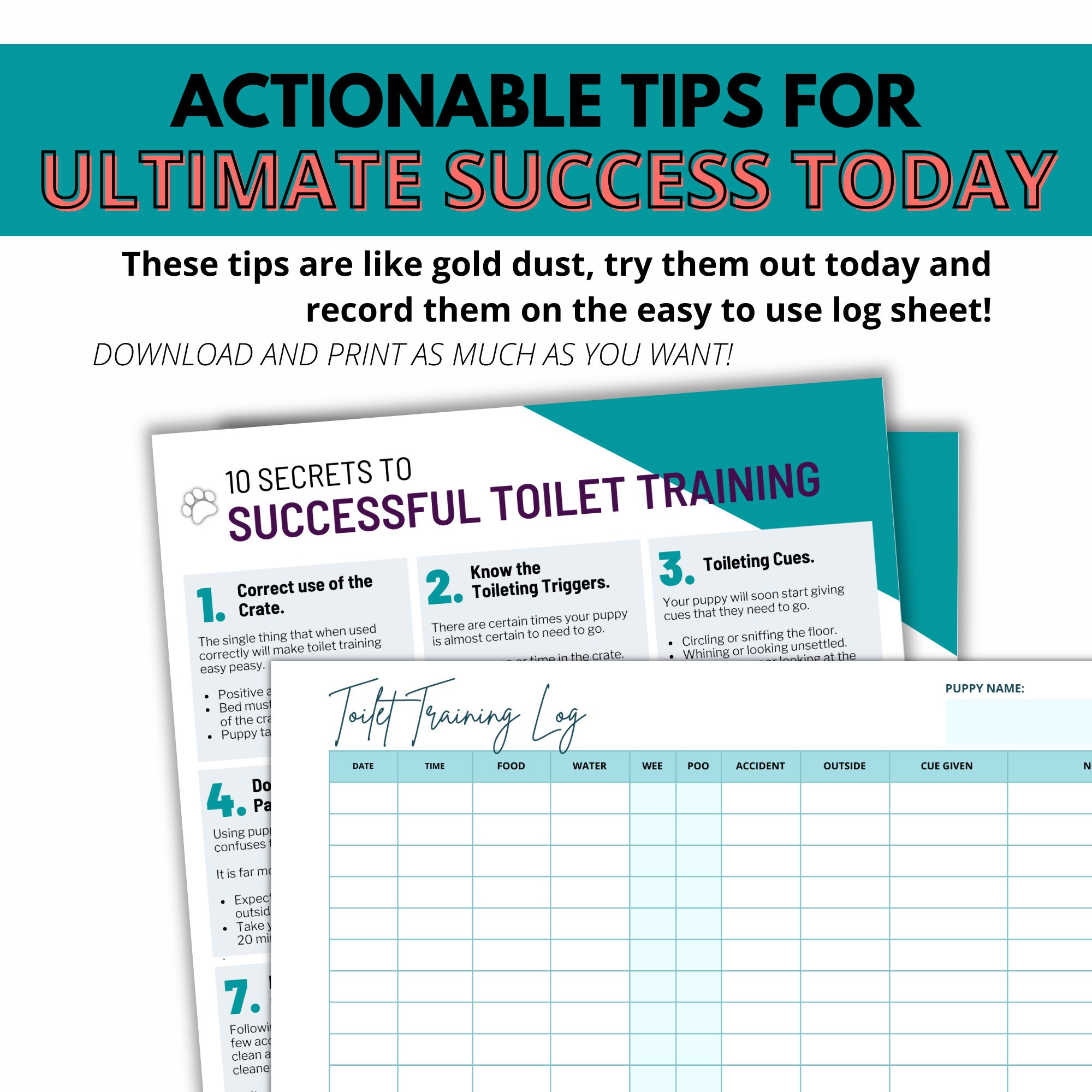 Puppy Toilet Training Made Easy, Puppy Potty Training, 10 Steps to ...