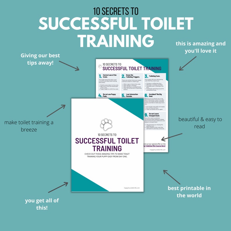 10 Secrets to Successful Toilet Training, Successfully Toilet Train ...