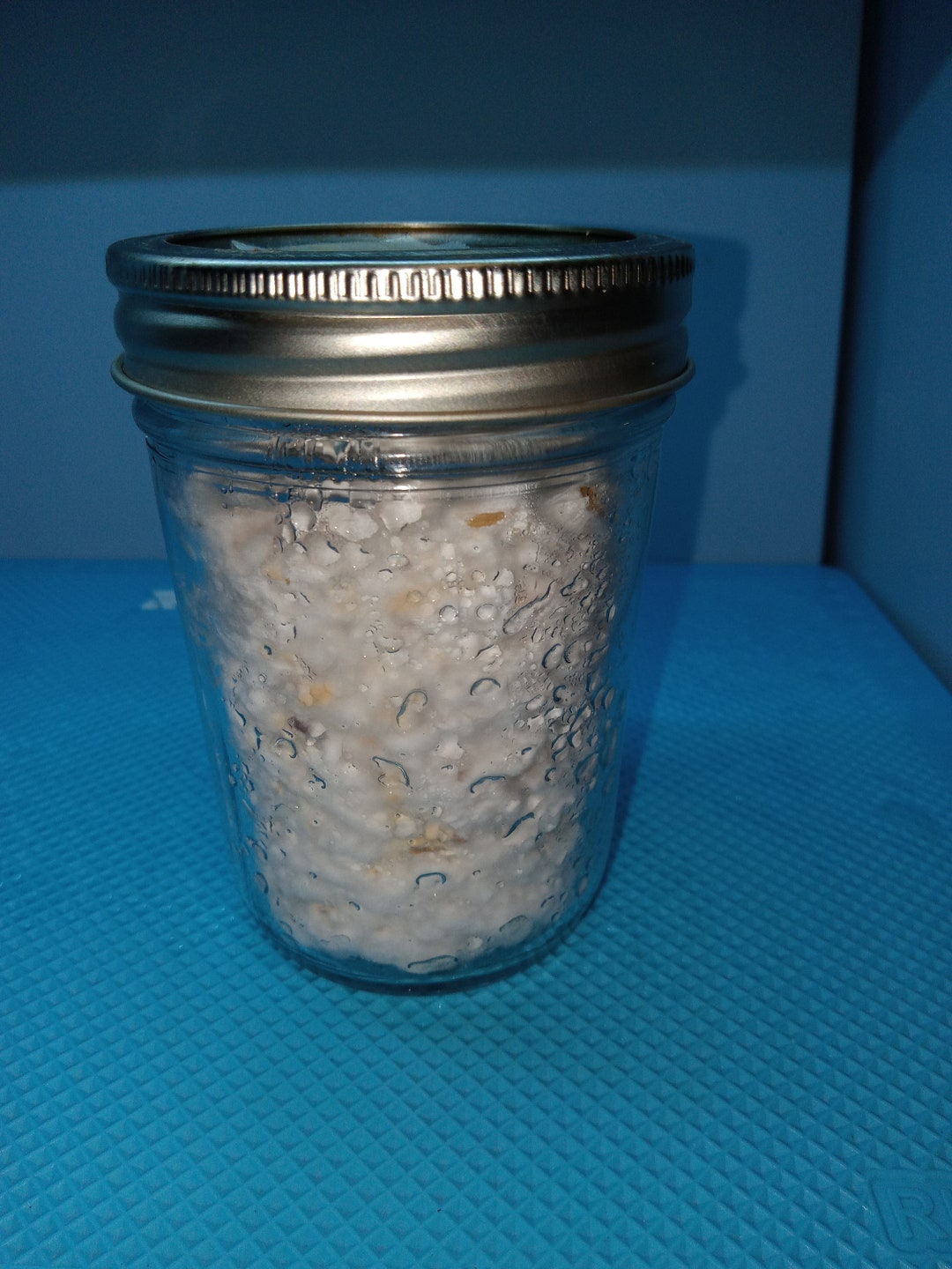 1/2 Pint Colonized Grain Spawn Brown Rice - Etsy