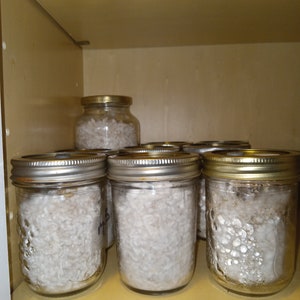 1/2 Pint Colonized Grain Spawn Brown Rice - Etsy