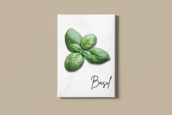 Basil Leaf Artwork