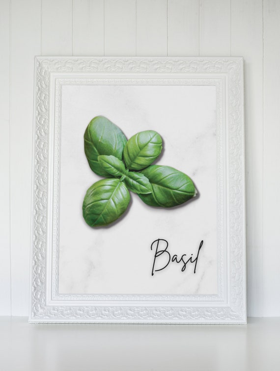 Basil Leaf Artwork