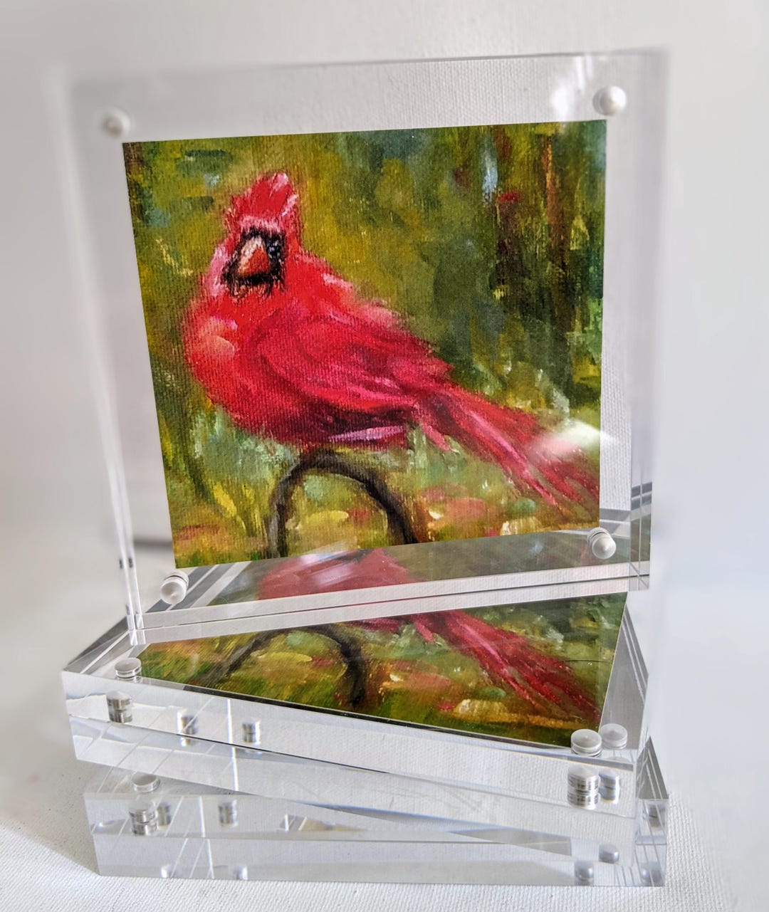 Red Cardinal Print in Acrylic Frame, Signed | "heavenly Visitor ...