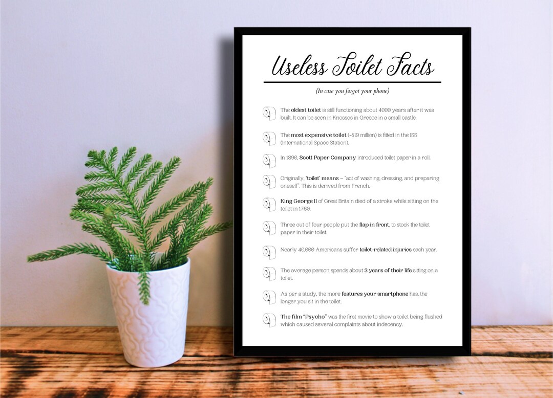 Toilet Poster | Toilet Fun Facts | Toilet Room Wall Art | Bathroom ...