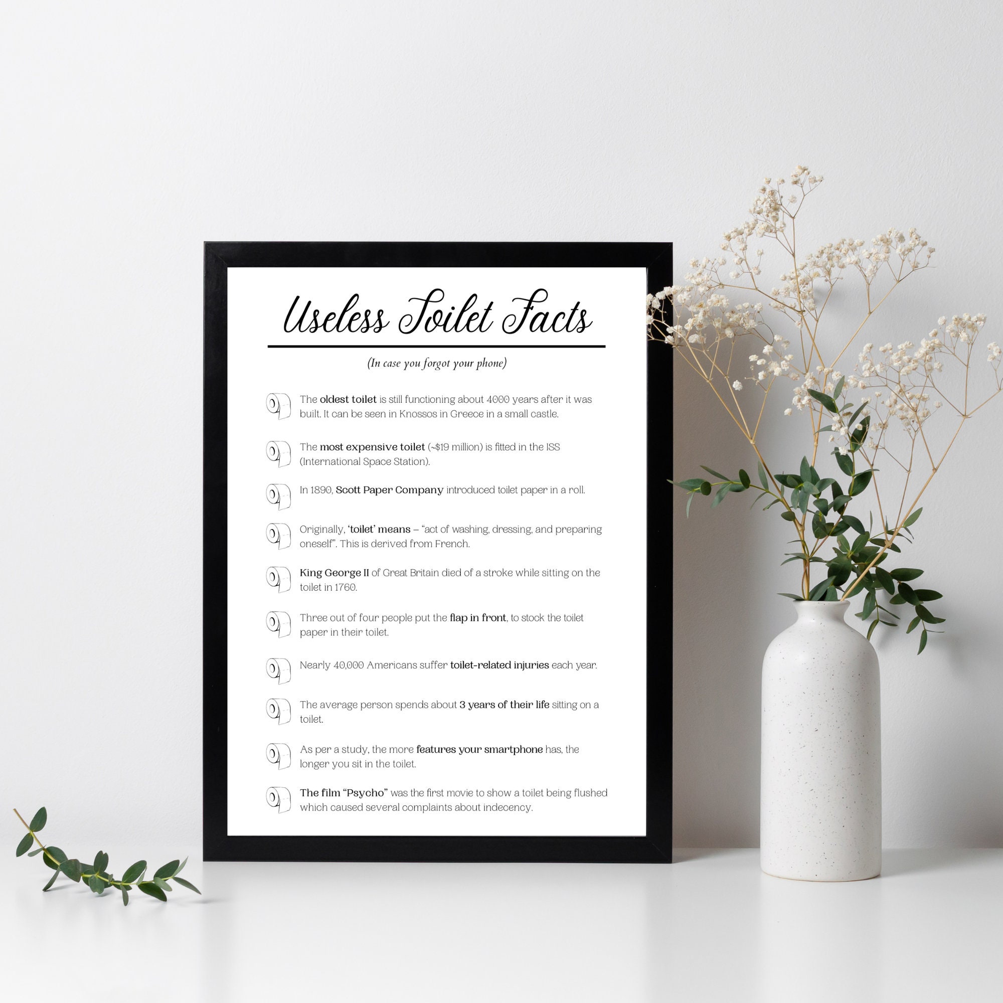 Toilet Poster | Toilet Fun Facts | Toilet Room Wall Art | Bathroom ...