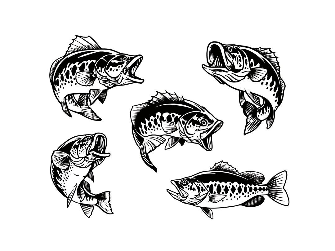 Largemouth Bass Fish , Fish Svg Png Bundle , Fish Vector , Bass Fish ...