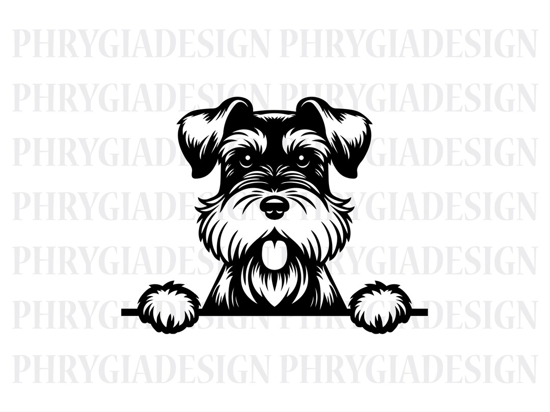 Peeking Miniature Schnauzer Dog Svg , Schnauzer Dog Head Svg ...