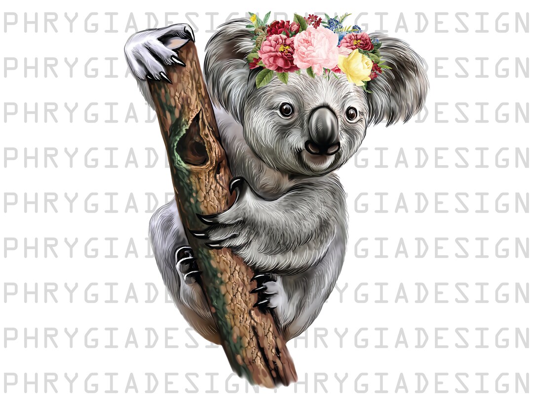 Koala With Flower Crown , Koala Png , Cute Koala , Koala Clipart ...