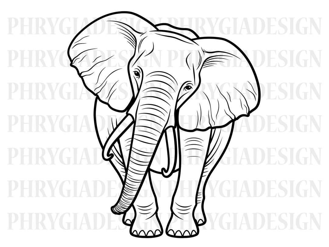 Elephant Svg , African Safari Svg , Wild Animal Svg , Elephant Png ...