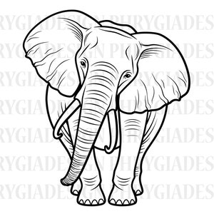 Elephant Svg , African Safari Svg , Wild Animal Svg , Elephant Png ...