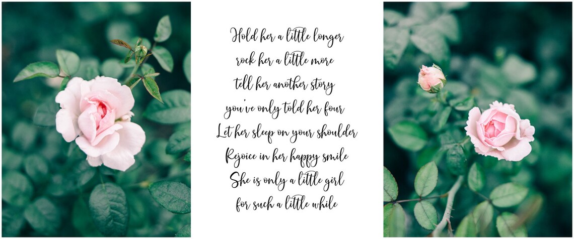 Light Pink Rose Photos and Hold Her A Little Longer Poem 8x10 - Etsy