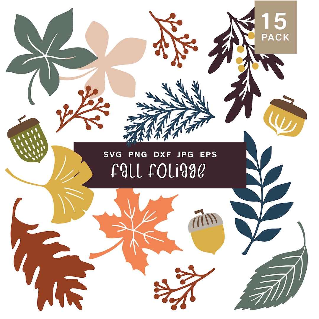 Hand-drawn Fall Leaves Bundle Cut File Svg Png Dxf Eps Files - Etsy