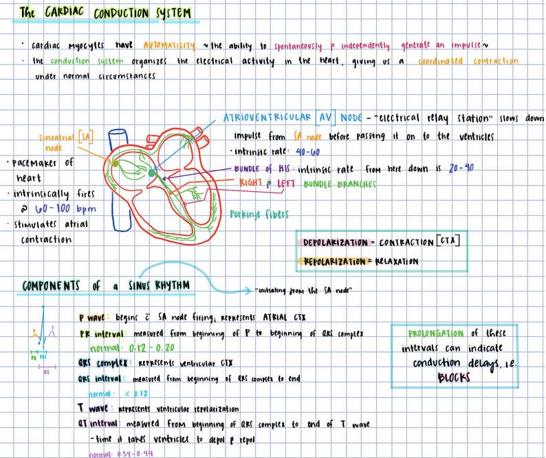 EKG CARDIAC RHYTHMS - Etsy