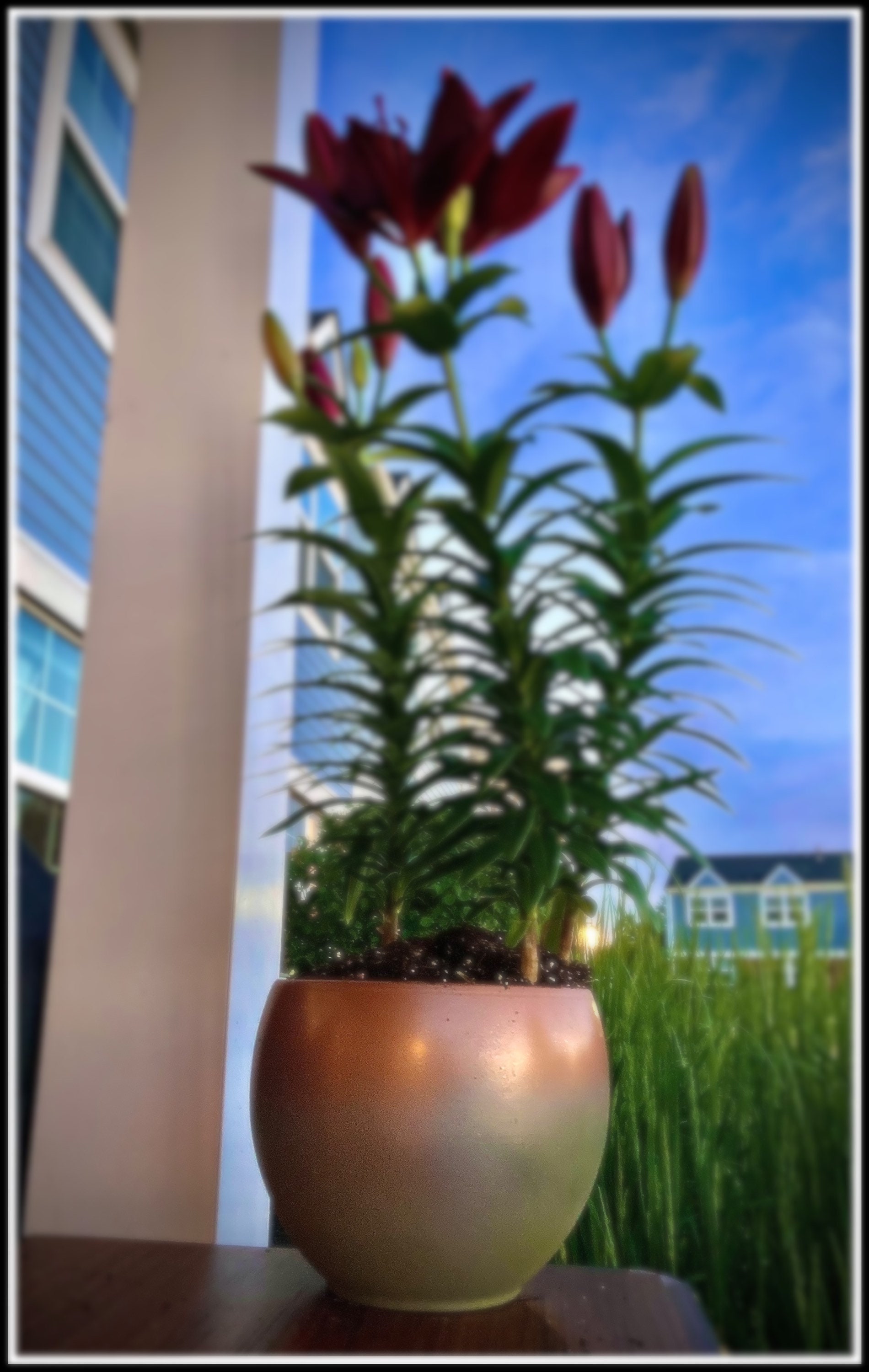 Rose Gold Glam Flower Pots - Etsy