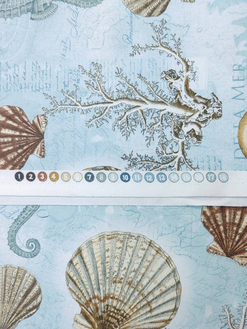 Blue Seashell Quilting Cotton Fabric David Textiles Ocean Life - Etsy