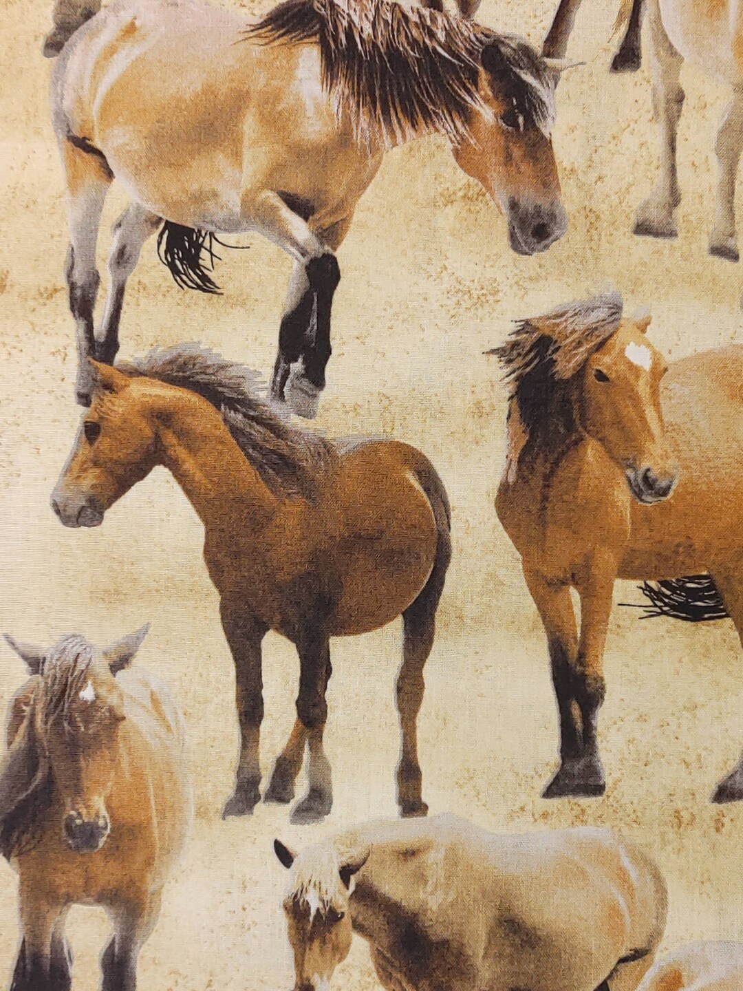 Horses on Tan Quilting Cotton Fabric Wilmington Prints Greener Pastures ...