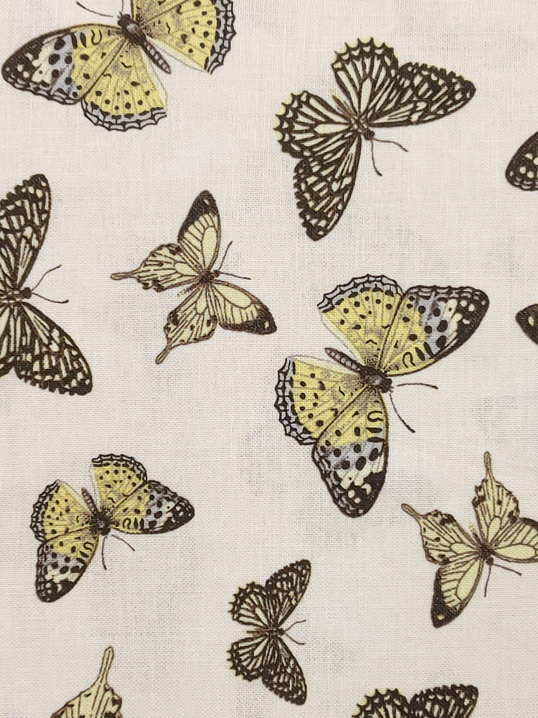 Butterflies Pale Yellow and Black on off White Quilting Cotton Fabric ...