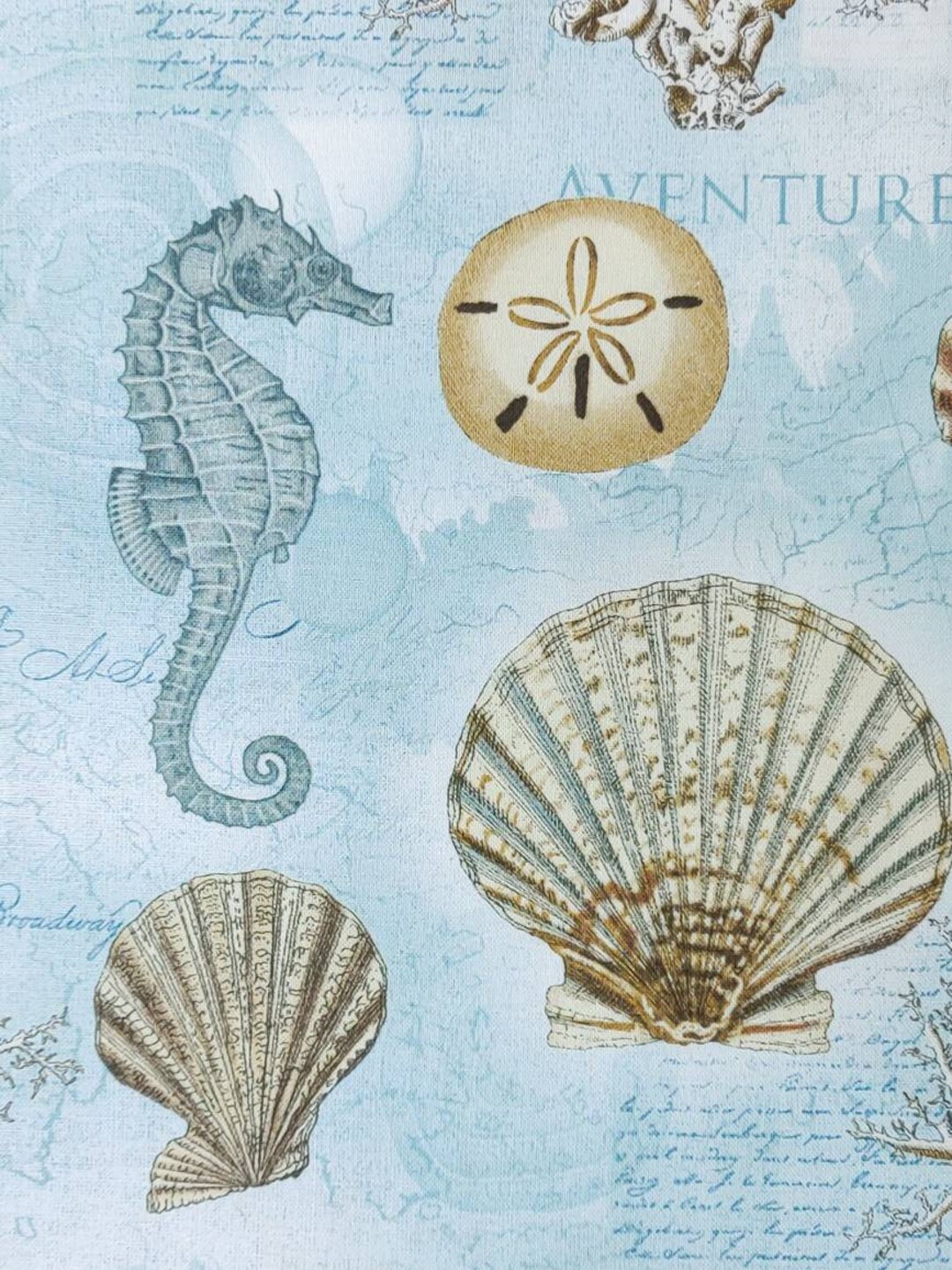 Blue Seashell Quilting Cotton Fabric David Textiles Ocean Life RR-3102 ...