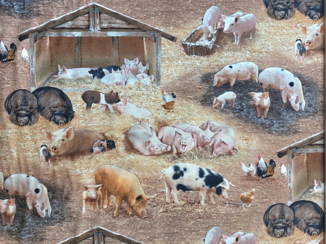 Barnyard Pigs Quilting Cotton Fabric Elizabeth's Studio Farm Animals ...