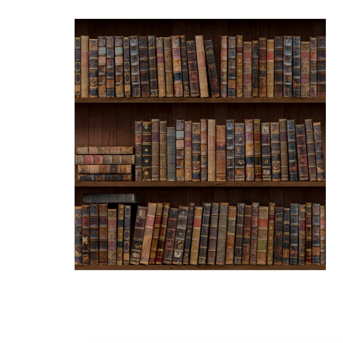 Old Books Seamless Texture vertically and Horizontally. Bookshelf ...
