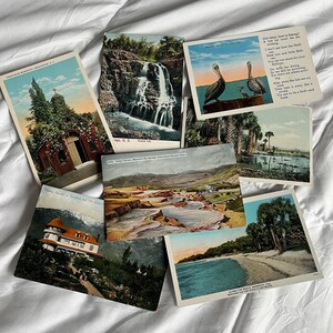 Vintage Nature Postcards // Random Vintage Post Card From Around the ...