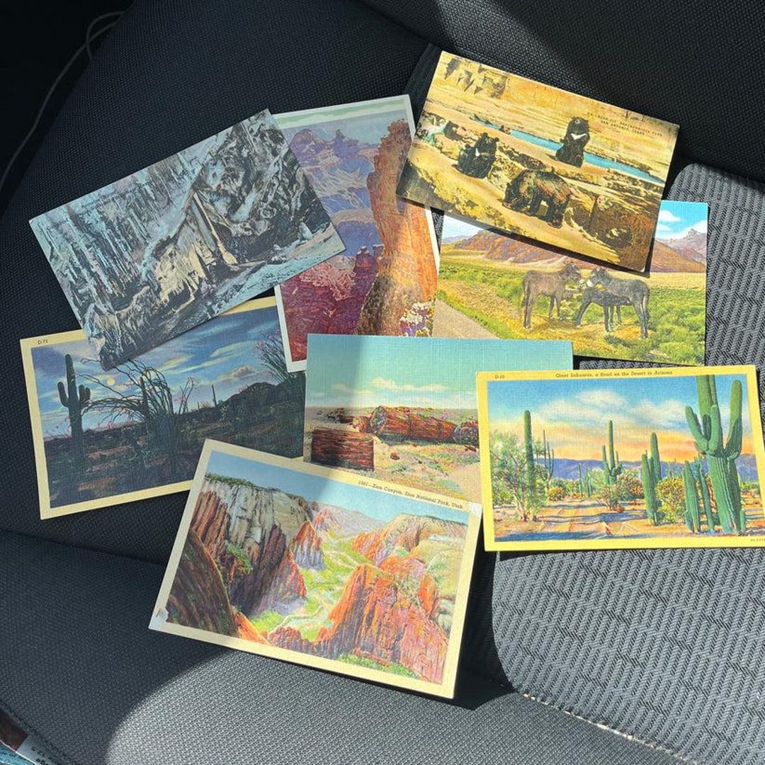 Vintage Nature Postcards // Random Vintage Post Card From Around the ...