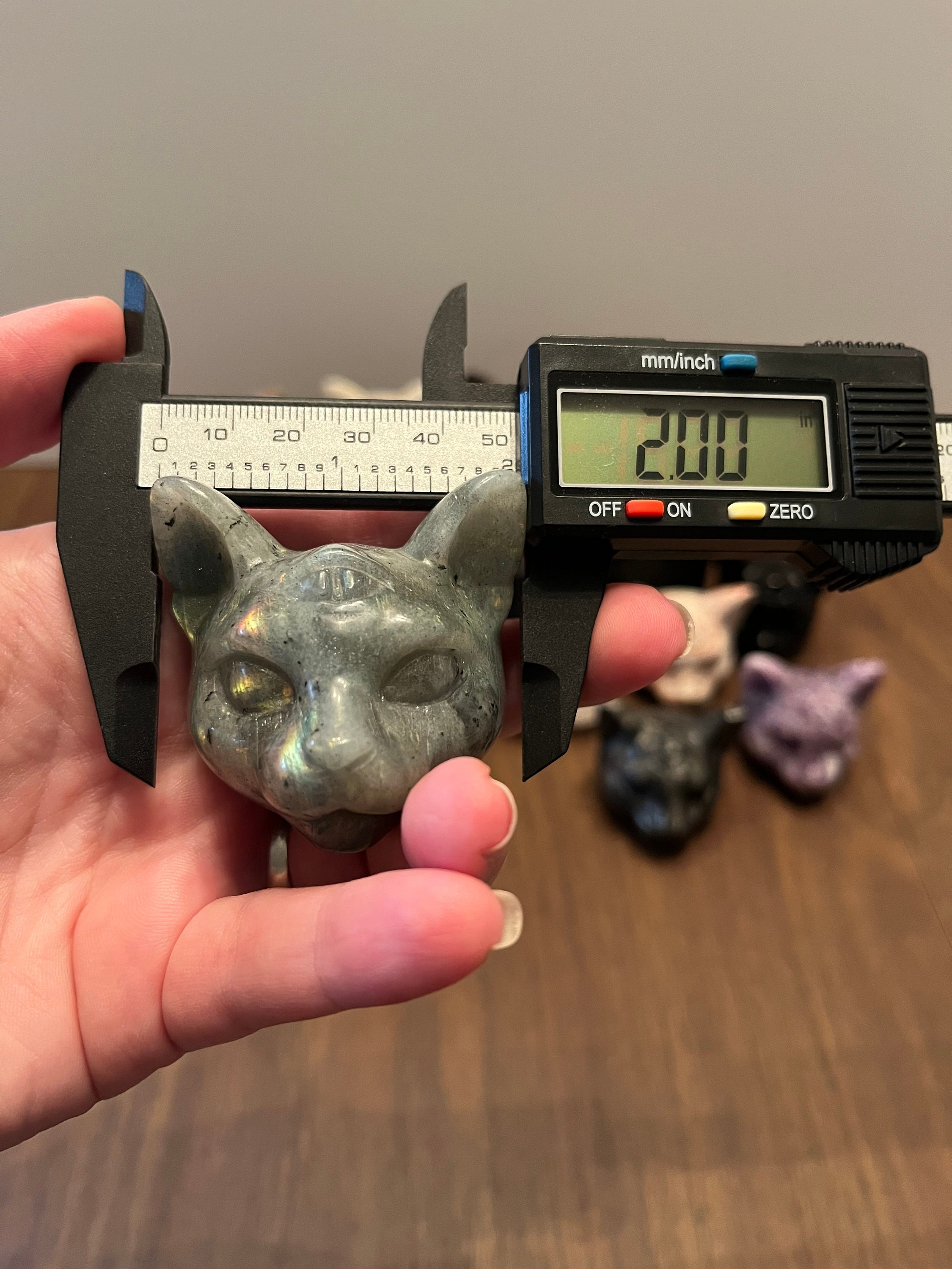 Crystal Cat Heads With Third Eye - Etsy