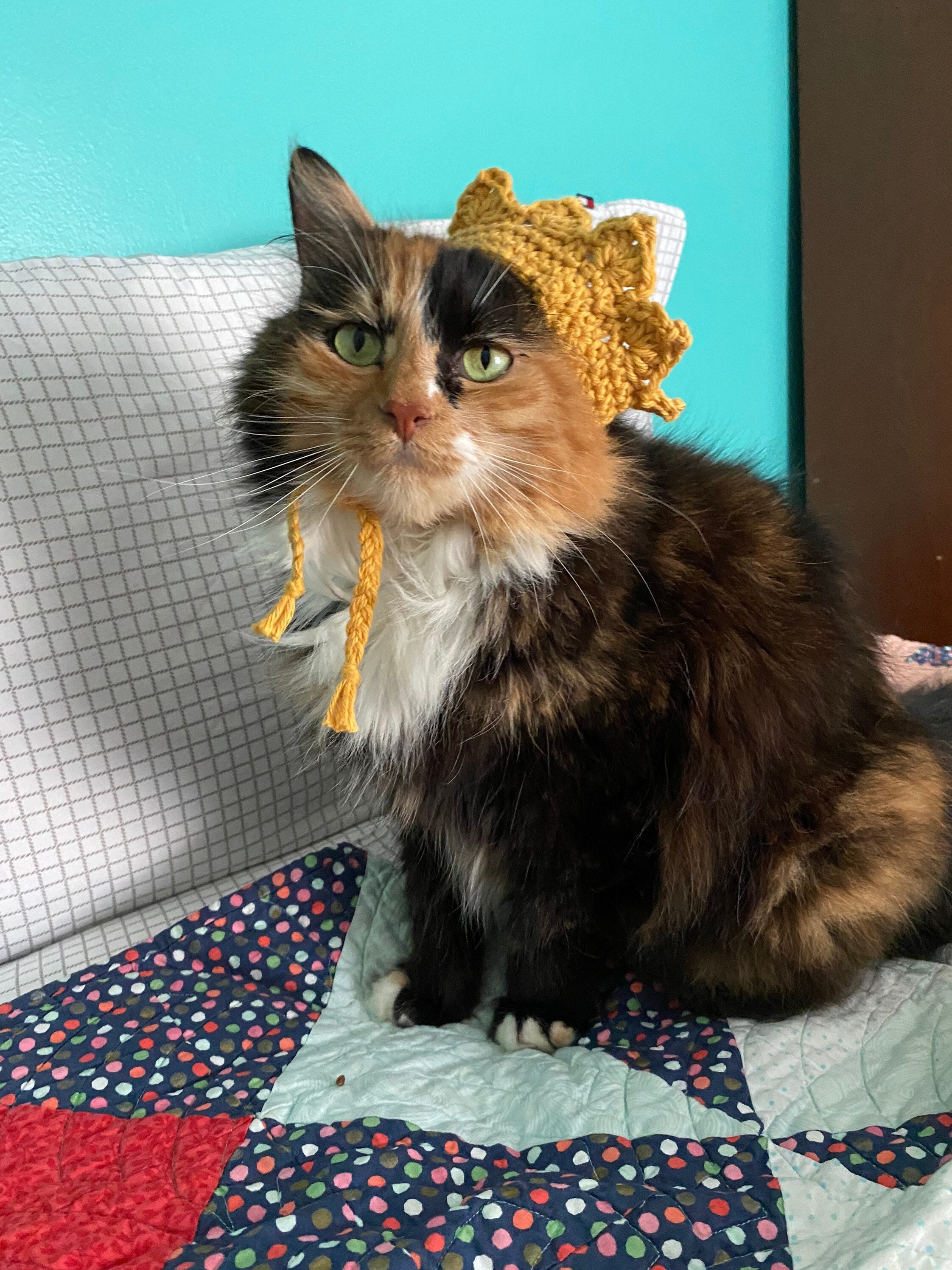 Crochet Cat Crown - Etsy