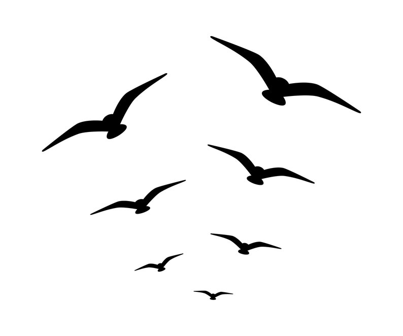 Flock of Birds Digital File Bundle, Flying Birds Clip Art for You ...