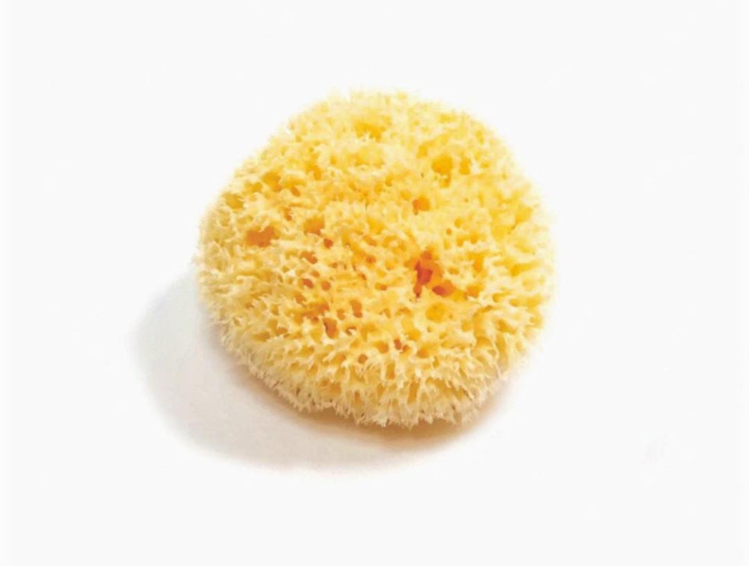 Natural Organic Sea Sponge - Plastic Free Bath Sponge - Etsy