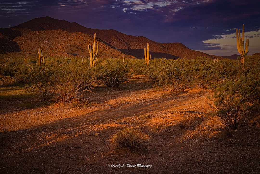 Vintage Arizona Desert Mountain Sunrise Oversized Canvas - Etsy