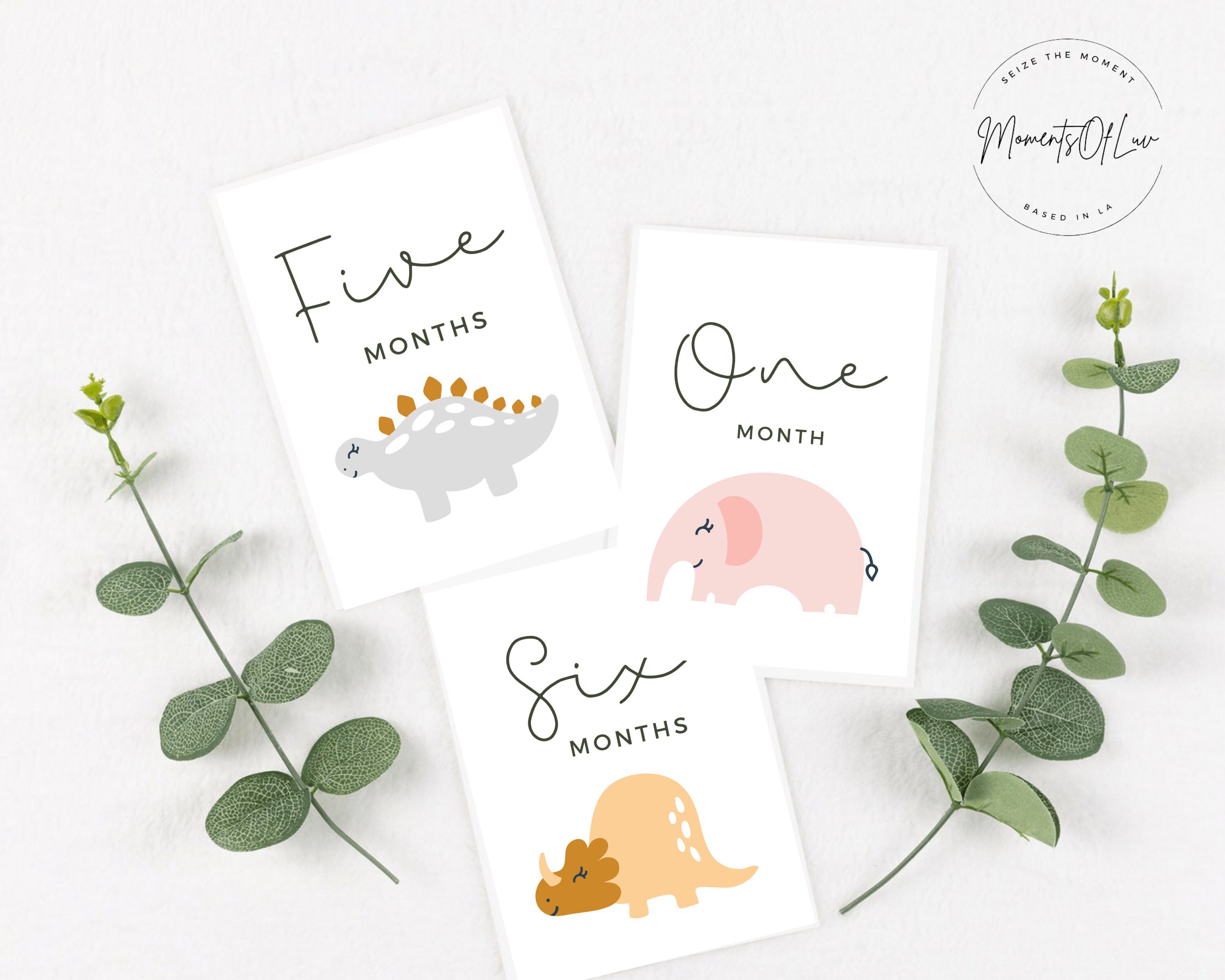Baby Monthly Milestone Cards Cute Animals DIGITAL DOWNLOAD Printable ...