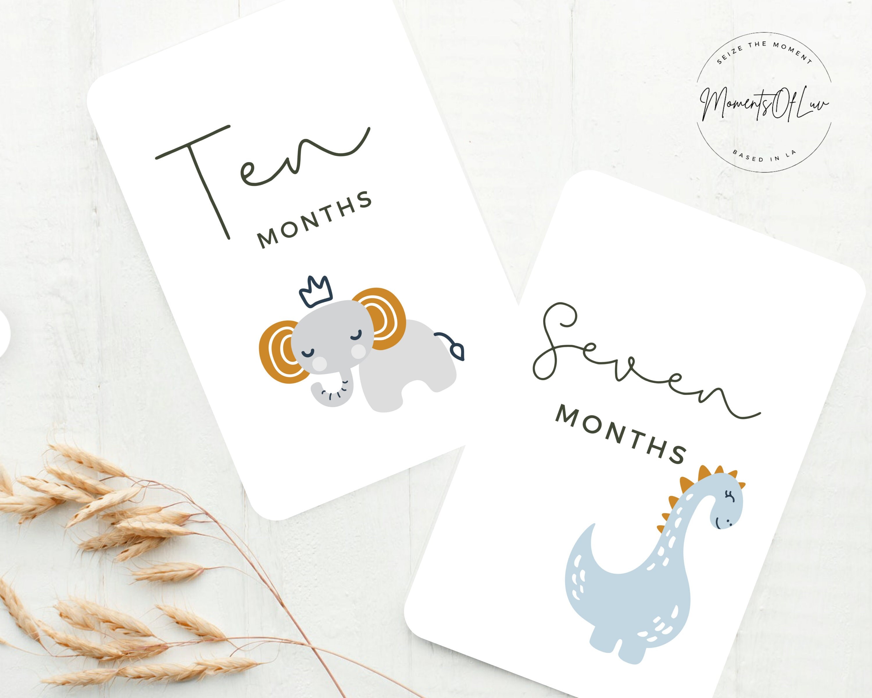 Baby Monthly Milestone Cards Cute Animals DIGITAL DOWNLOAD Printable ...