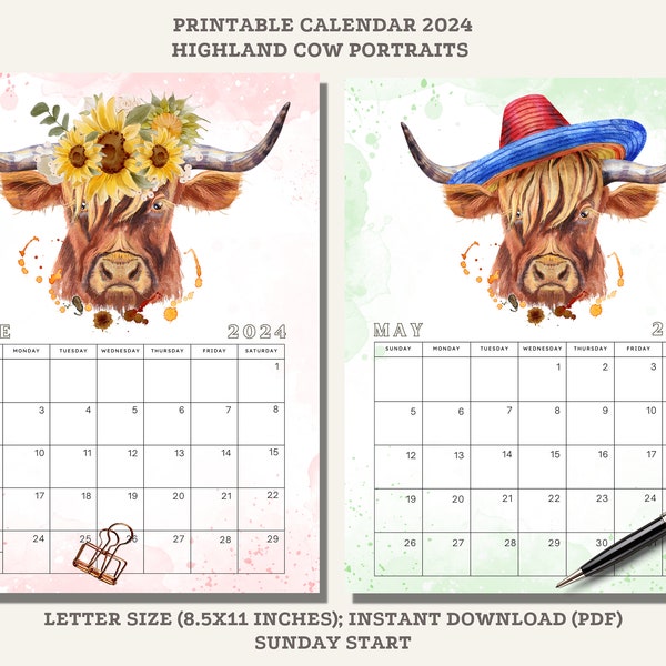 Highland Cow 2024 Calendar - Etsy