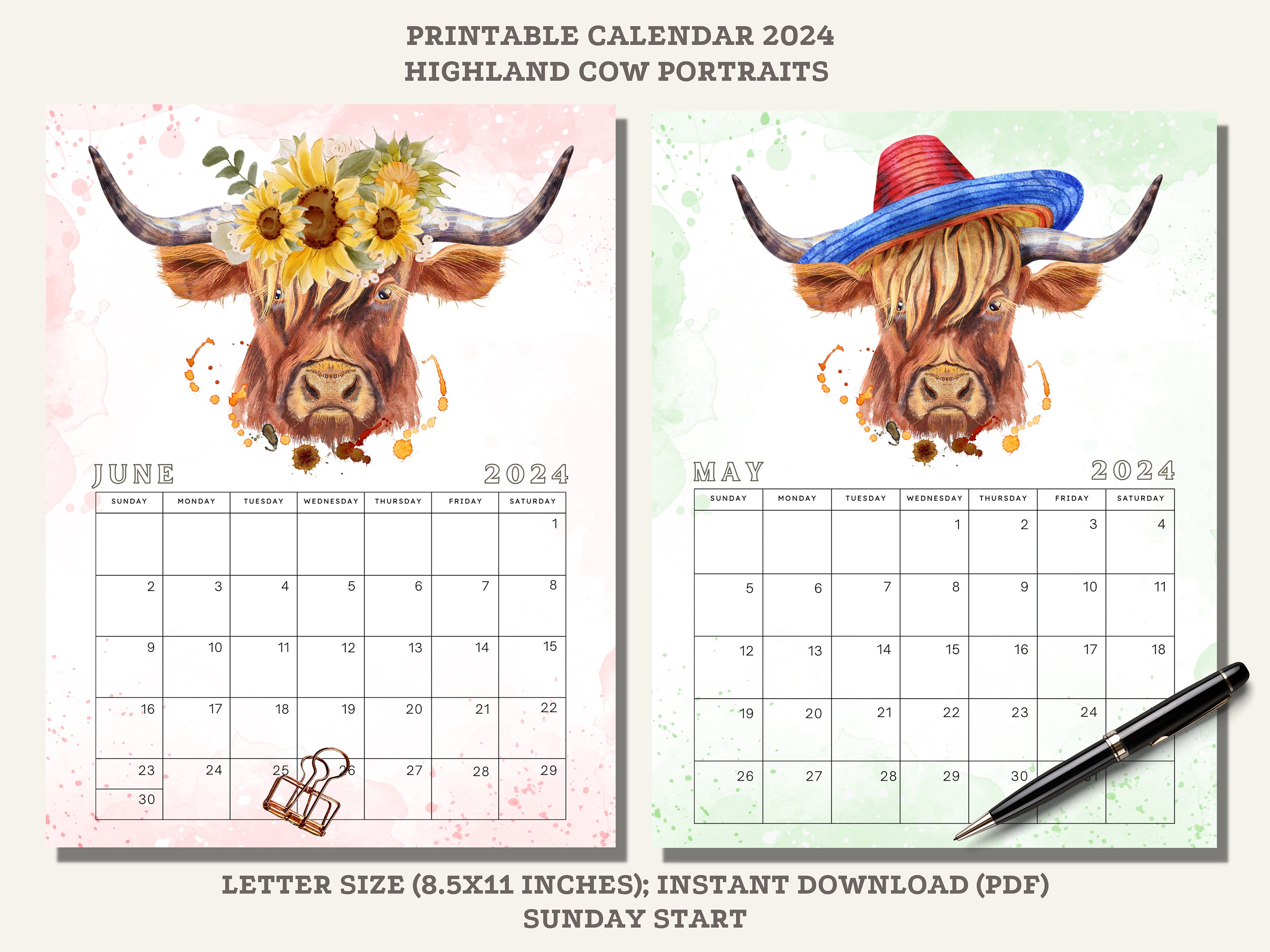 Printable Highland Cow Portraits, Monthly Calendar 2024, Letter Size ...