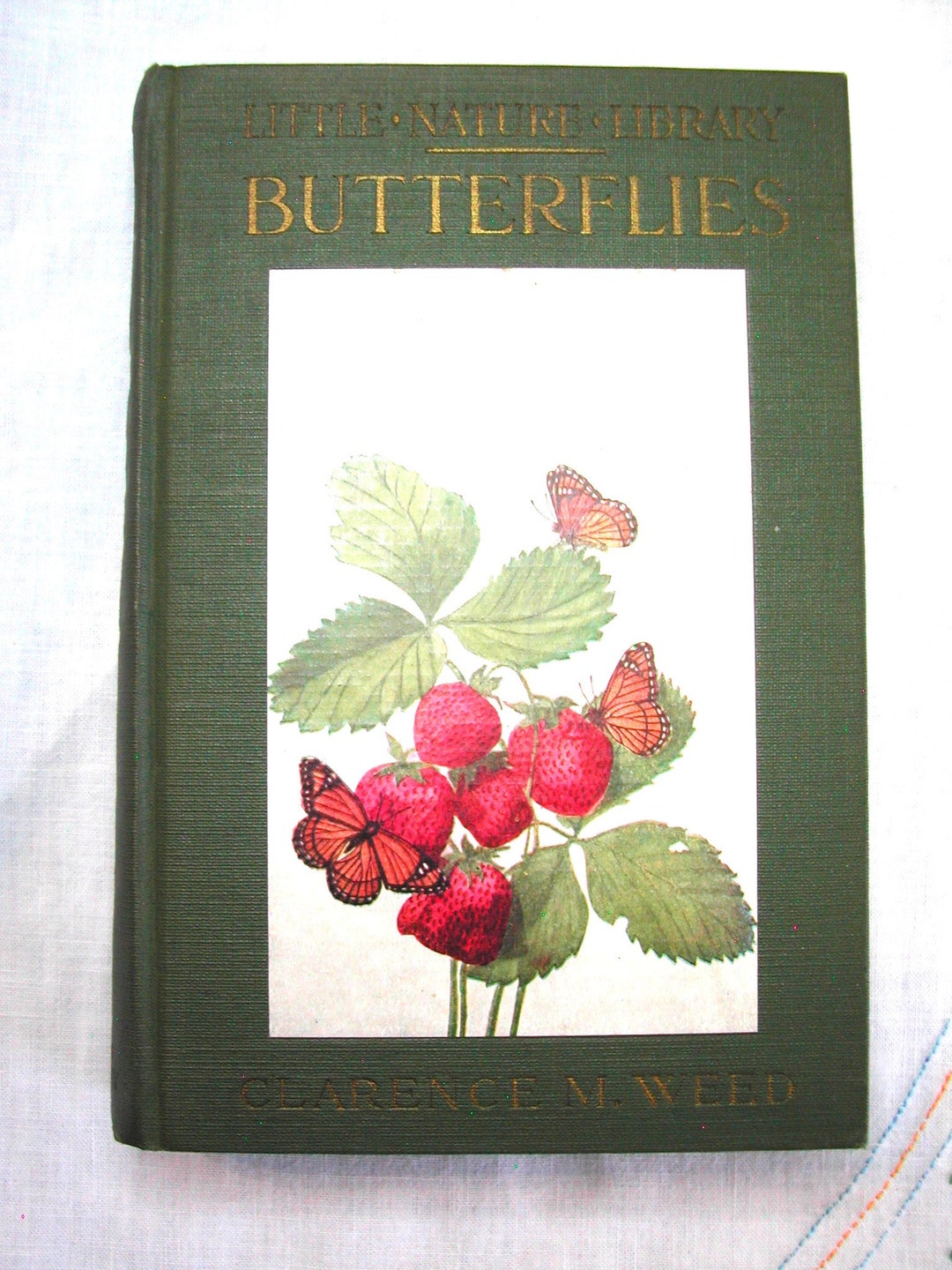 BUTTERFLIES WORTH KNOWING Little Nature Library Clarence - Etsy