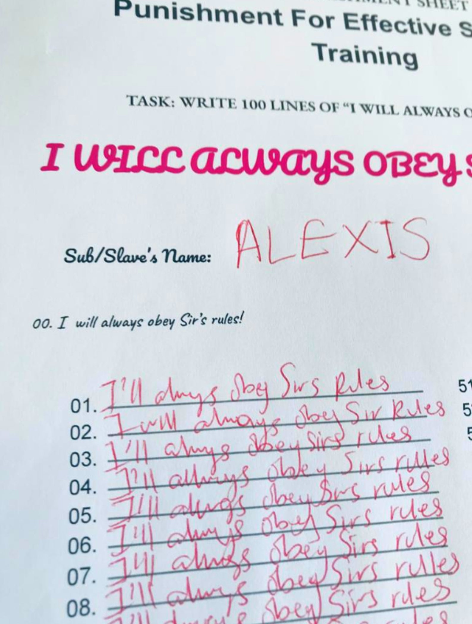 BDSM Punishment Activity Task Sheet Write i Will Always - Etsy