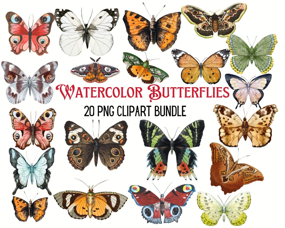 Watercolor Butterfly Clipart: Colorful PNG Bundle (20 Images) - Etsy