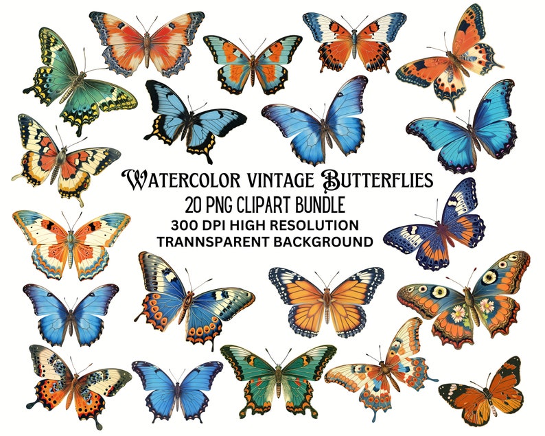 Colorful Butterflies, Vintage Butterfly Clipart PNG, Watercolor ...