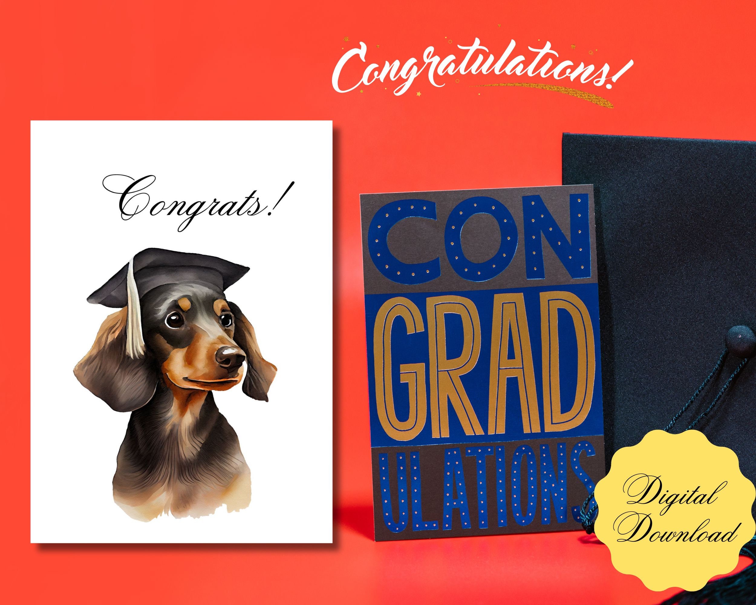 Cute Dachshund Wearing Graduation Cap, Congratulation Class of 2025 ...