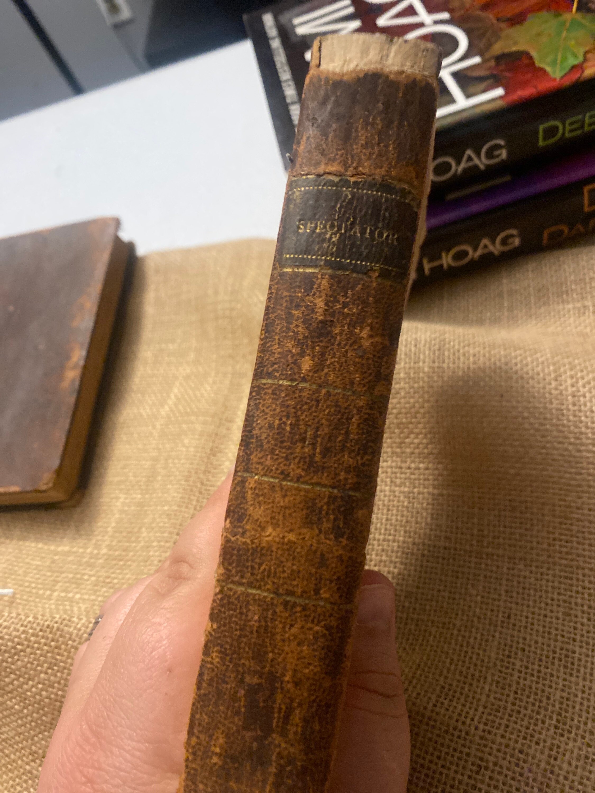 1803 the Spectator Volume One no Covers Select British Classics - Etsy