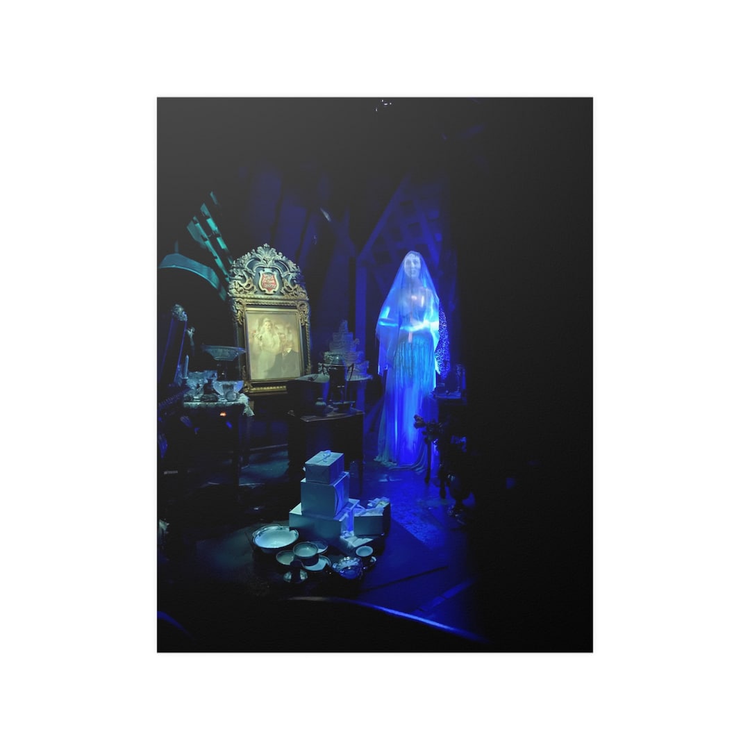 Haunted Mansion Ghost Bride, Attic: Disneyland Photography Satin Poster ...